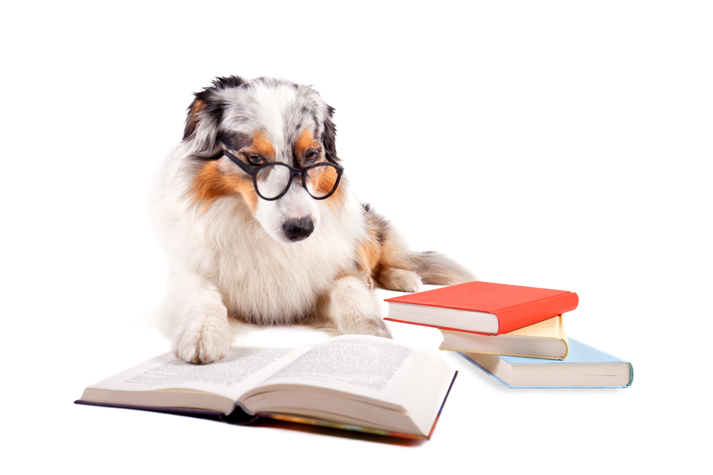 Favorites – Roper Elementary Library