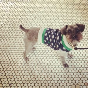 LPS Student Services | Therapy Dogs